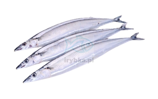 Ryby mrożone | Internetowy sklep rybny